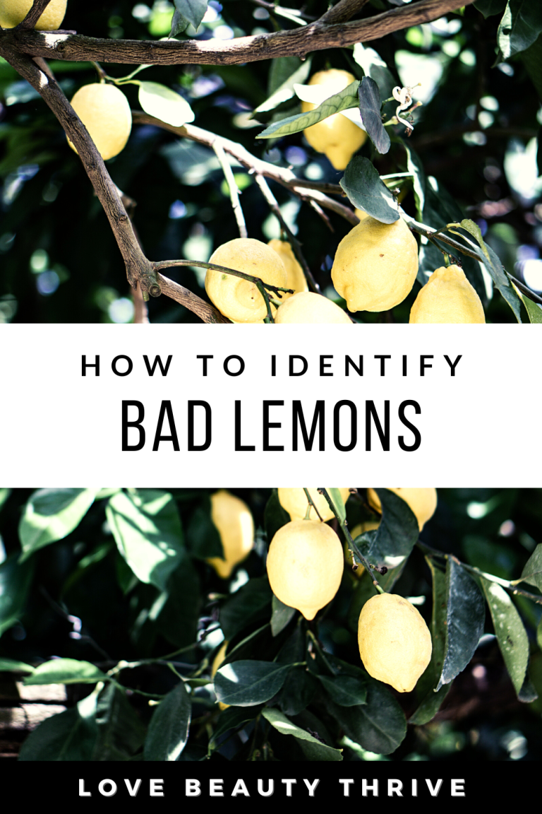 How to Tell if a Lemon Is Bad, Tips From the Pros